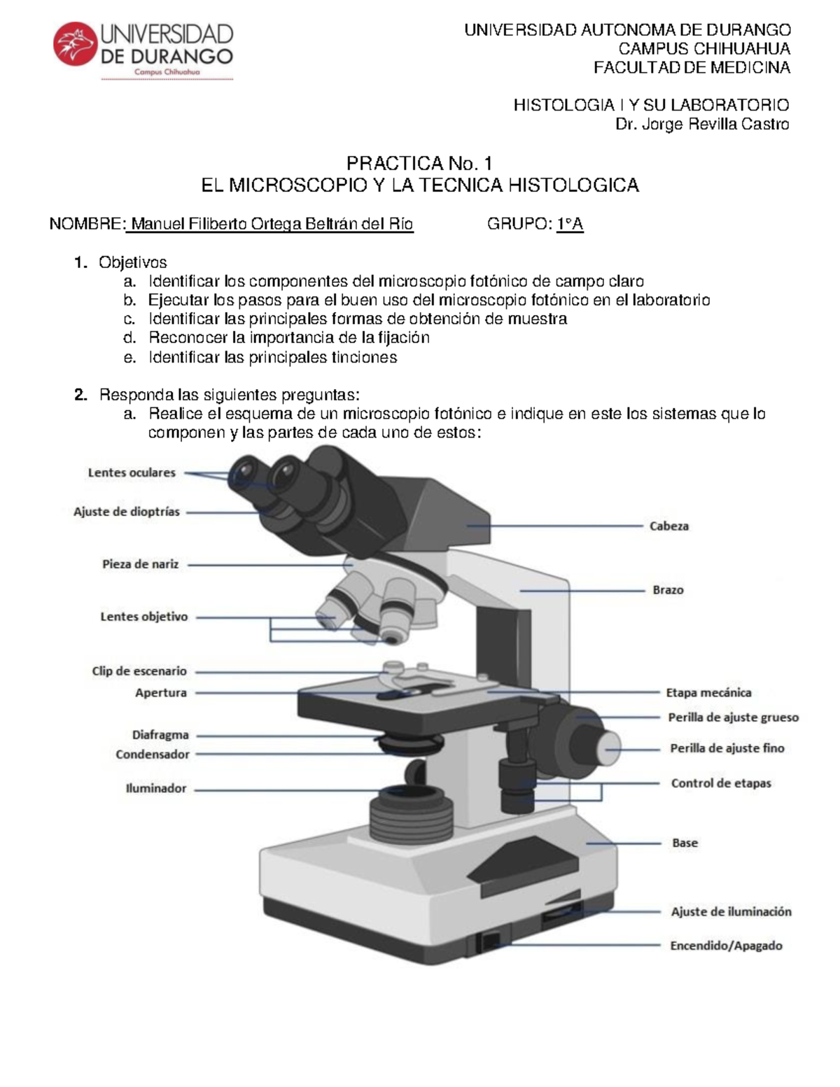 Practica 1 EL Microscopio Y LA Tecnica Histologica Mfobdr - CAMPUS ...