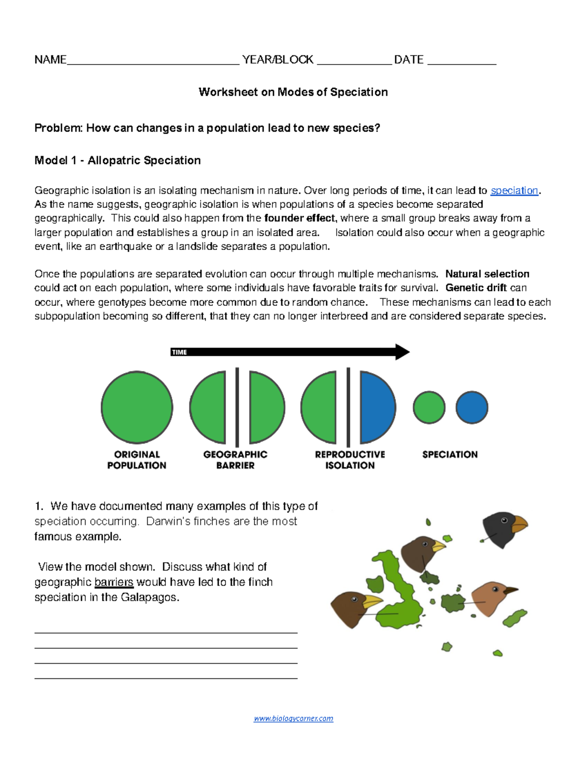 Worksheet on Modes of Speciation and Reproductive Isolation - Studocu