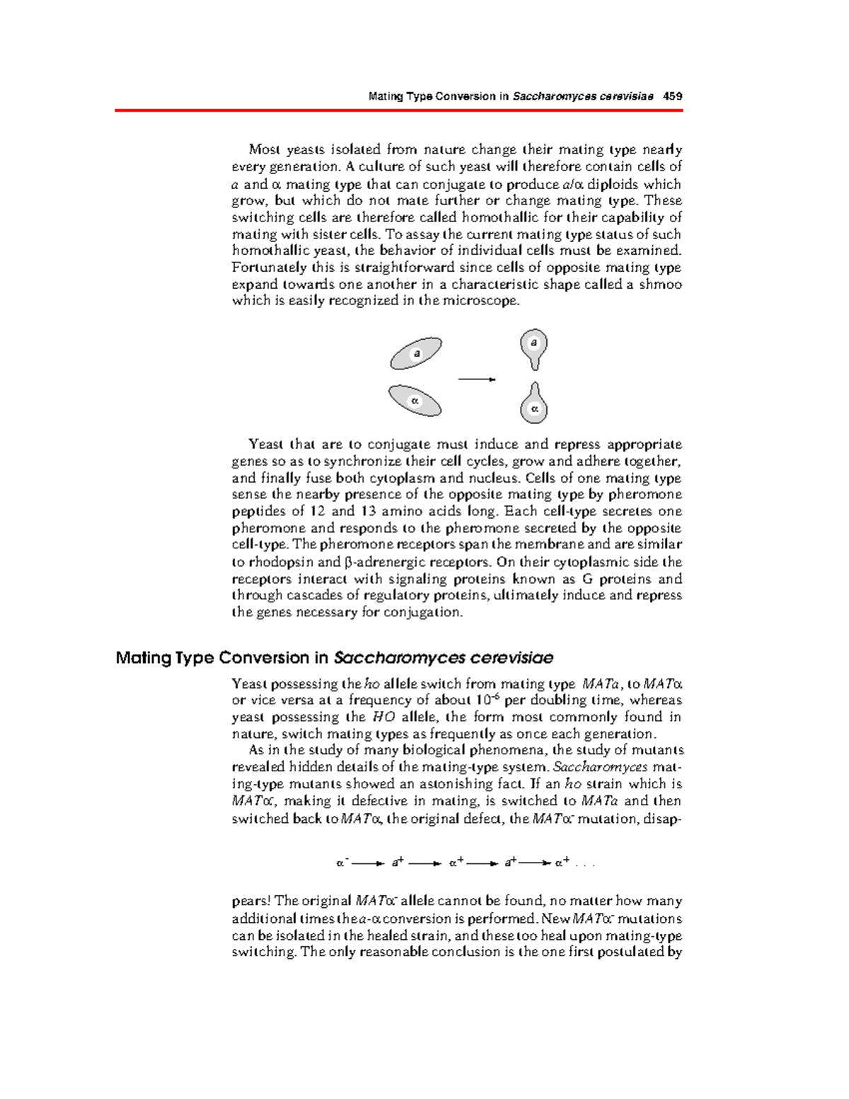 Genetics and Molecular Biology – Part 238: Mating Type Conversion in ...