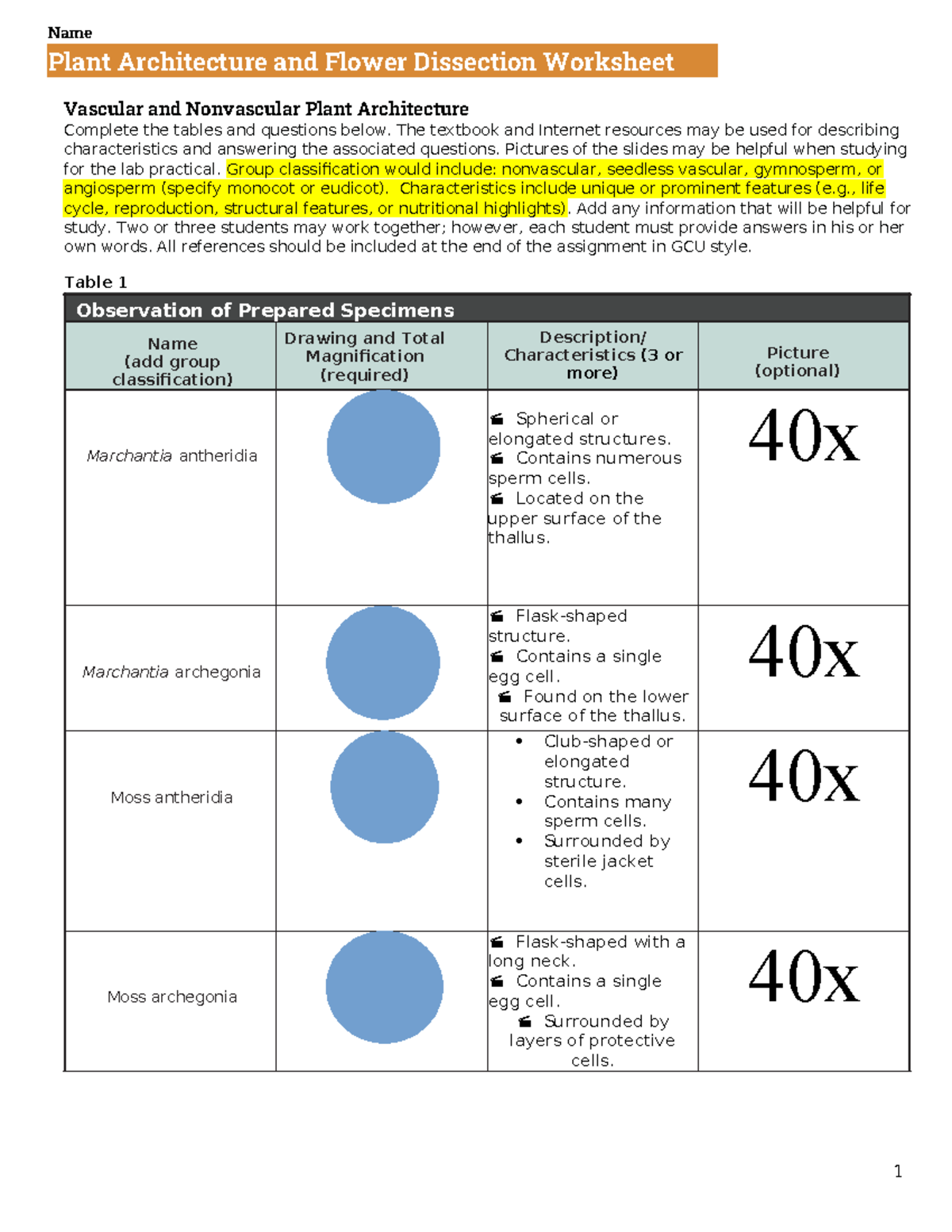 BIO-182L Final Lab Worksheet: Plant Architecture & Flower Dissection ...