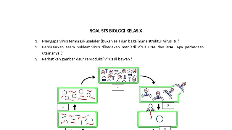 SOAL STS BIOLOGI KELAS X: Virus, Struktur, dan Reproduksi - Studocu