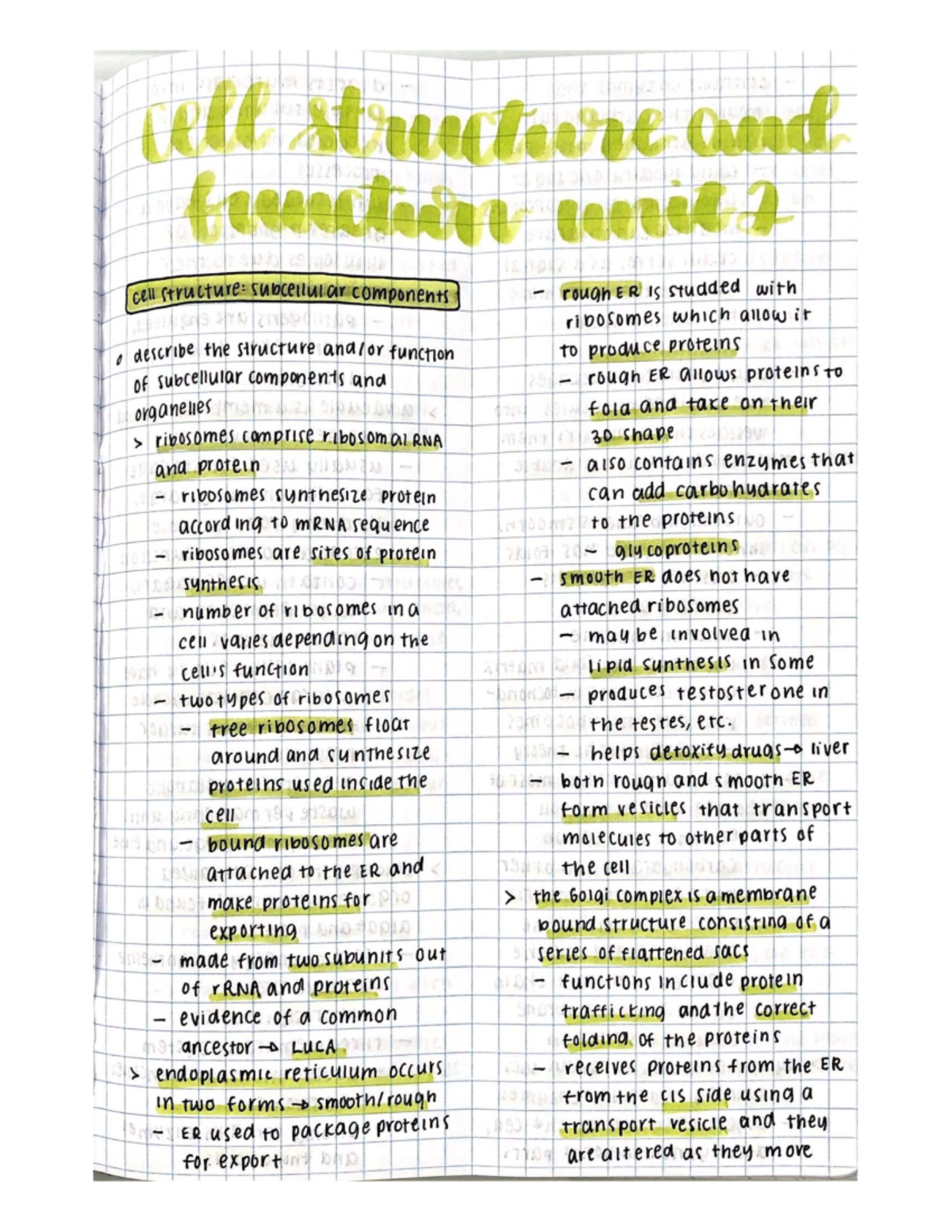 Cell Structure and Function: Subcellular Components Overview - Studocu