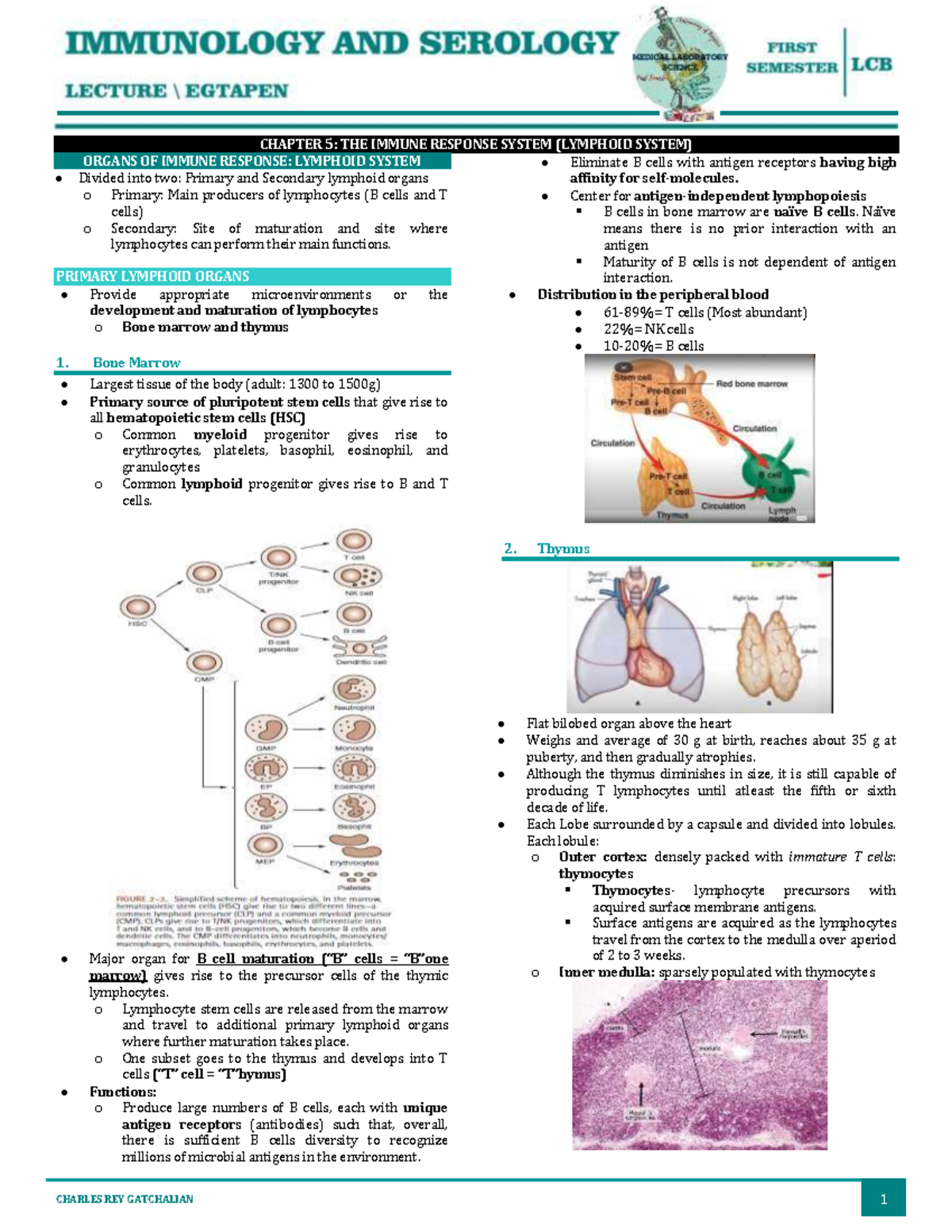 CHAPTER 5: THE IMMUNE RESPONSE SYSTEM (LYMPHOID ORGANS) - MIDTERM NOTES ...