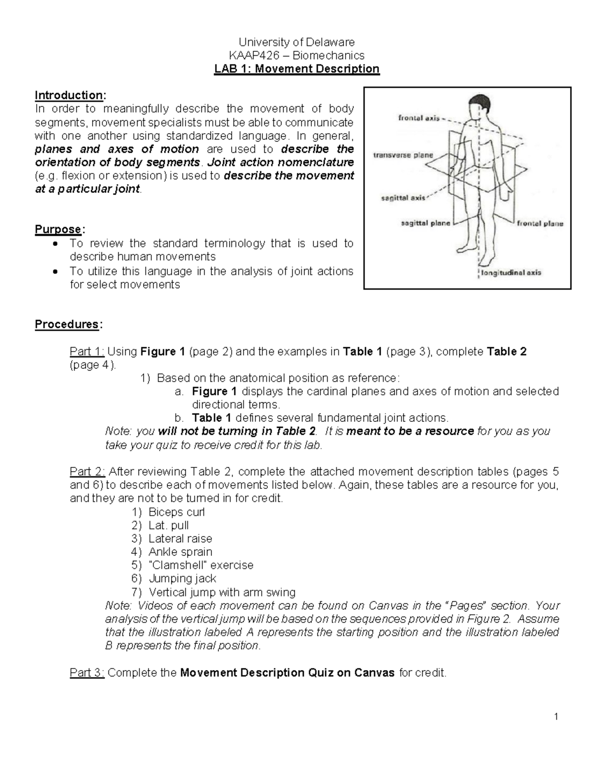KAAP426 - Biomechanics Lab 1: Movement Analysis & Joint Actions - Studocu