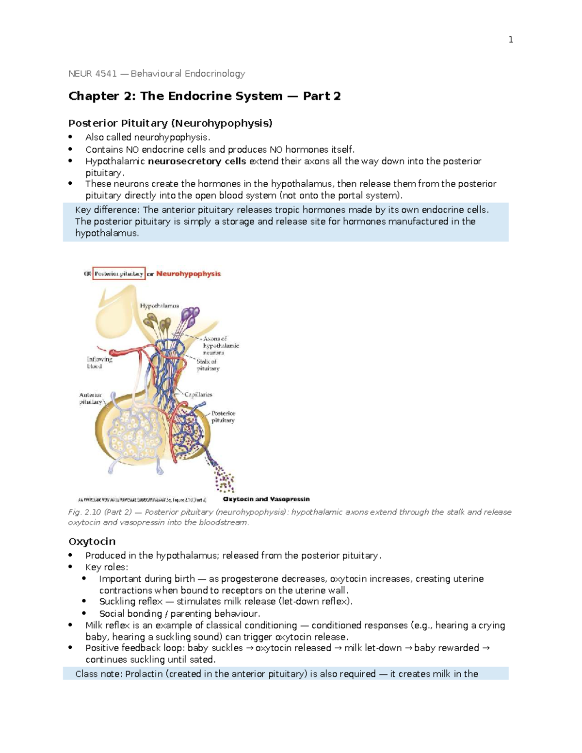 PSYC 454/NEUR 454 Behavioural Endocrinology Chapter 2 Study Notes Part ...