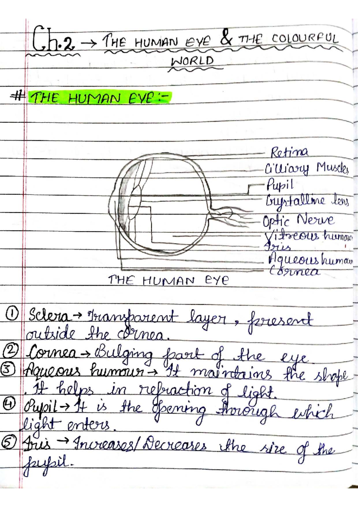 Physics CH.2 Notes: The Human Eye and Vision Defects - Studocu