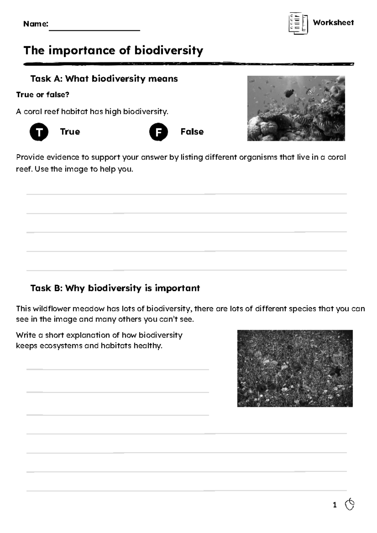 Worksheet: The Importance of Biodiversity in Ecosystems - Studocu