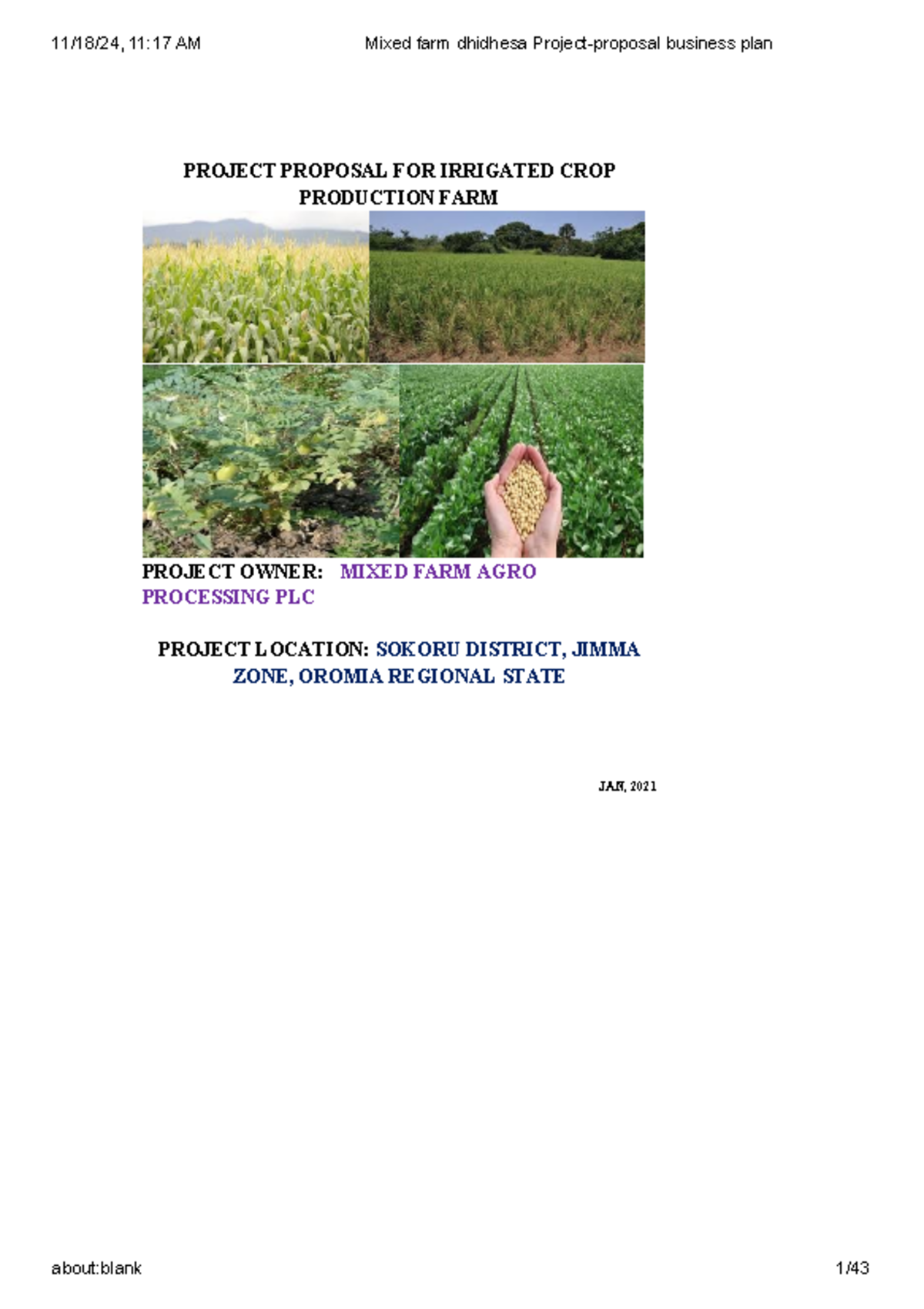 Irrigated Crop Production Project Proposal: Mixed Farm Agro Plan - Studocu