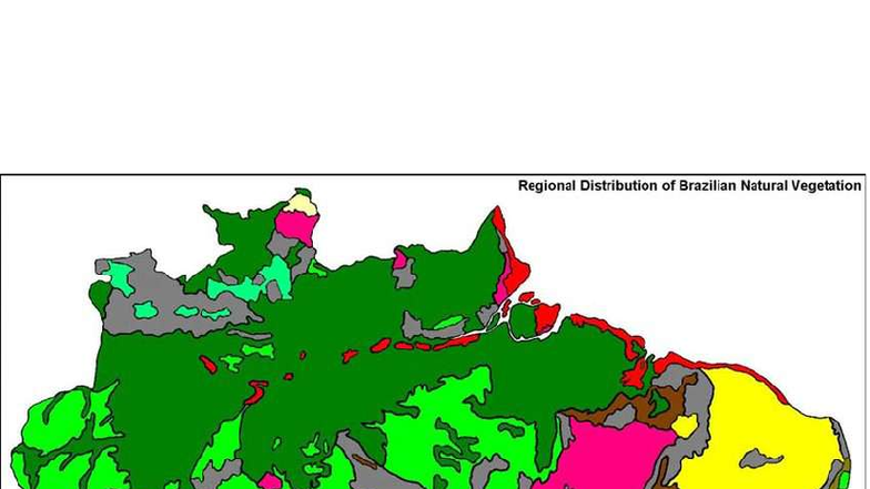 Regional Distribution of Brazilian Vegetation: Phytoecological Regions ...