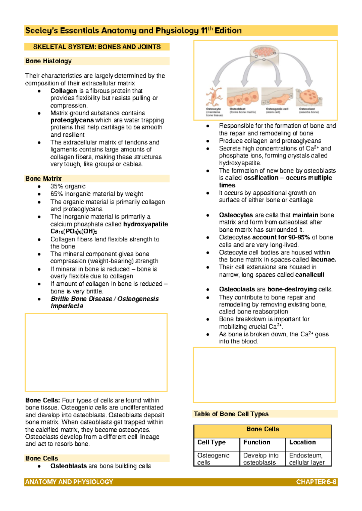 Transes: Skeletal System C6 Anatomy and Physiology Notes - Studocu
