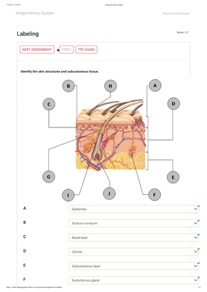 Chapter 1 mod - ch 1 test - Module Test Score: 11/ PRINT TRY AGAIN ...