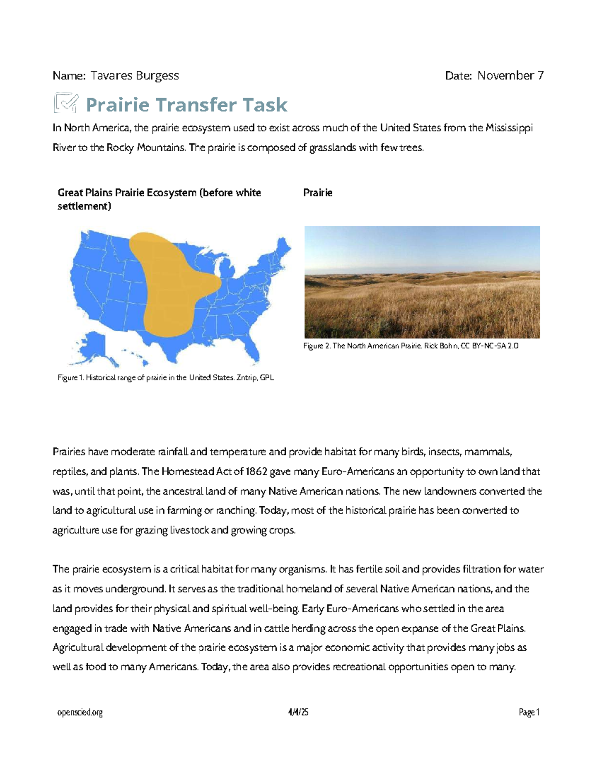 B.1 Lesson 11 Assessment: Prairie Transfer Task Analysis - Studocu