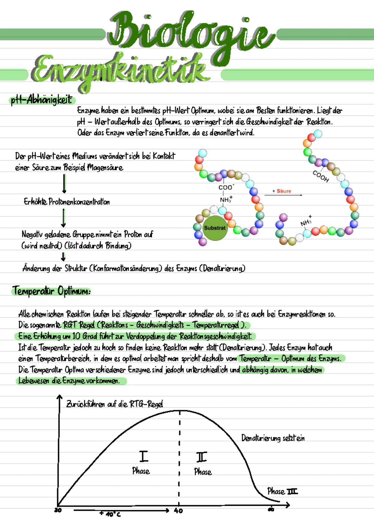 Fotosynthese - Ablauf: Lichtabhängige Reaktion (Lichtreaktion ...