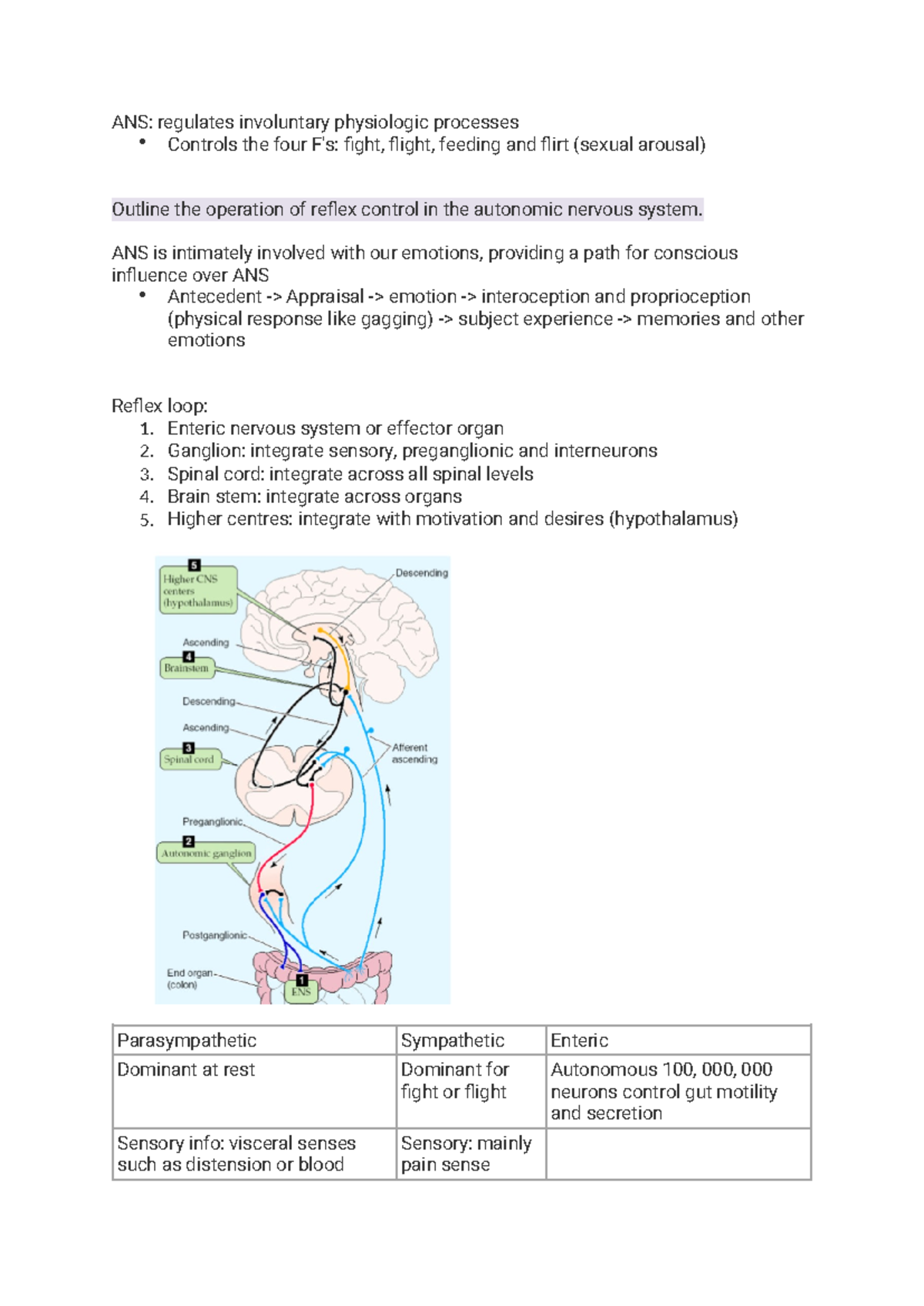 ANS 1A - Summary of Autonomic Nervous System Physiology - Studocu