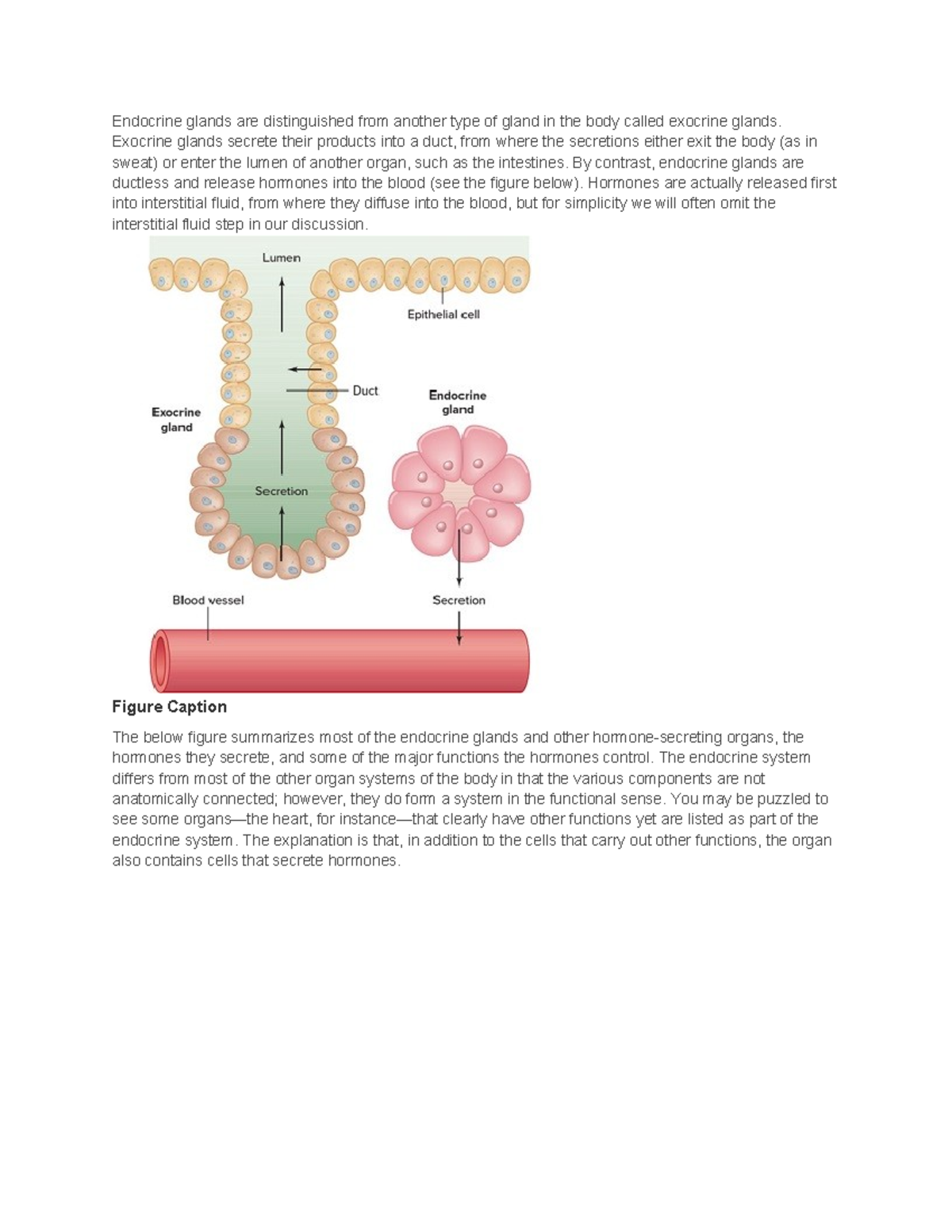 Human Reproductive System: Hormonal Control & Developmental Processes ...