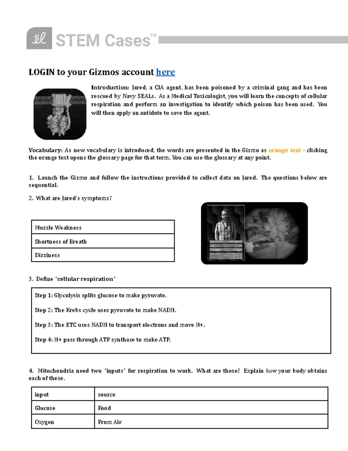 Tyler Paul - Cell Resp Lab Doc - LOGIN to your Gizmos account here ...