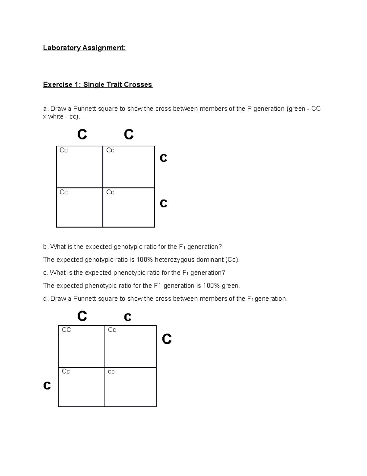Basic Genetics Lab Assignment - BIO 101 - Studocu