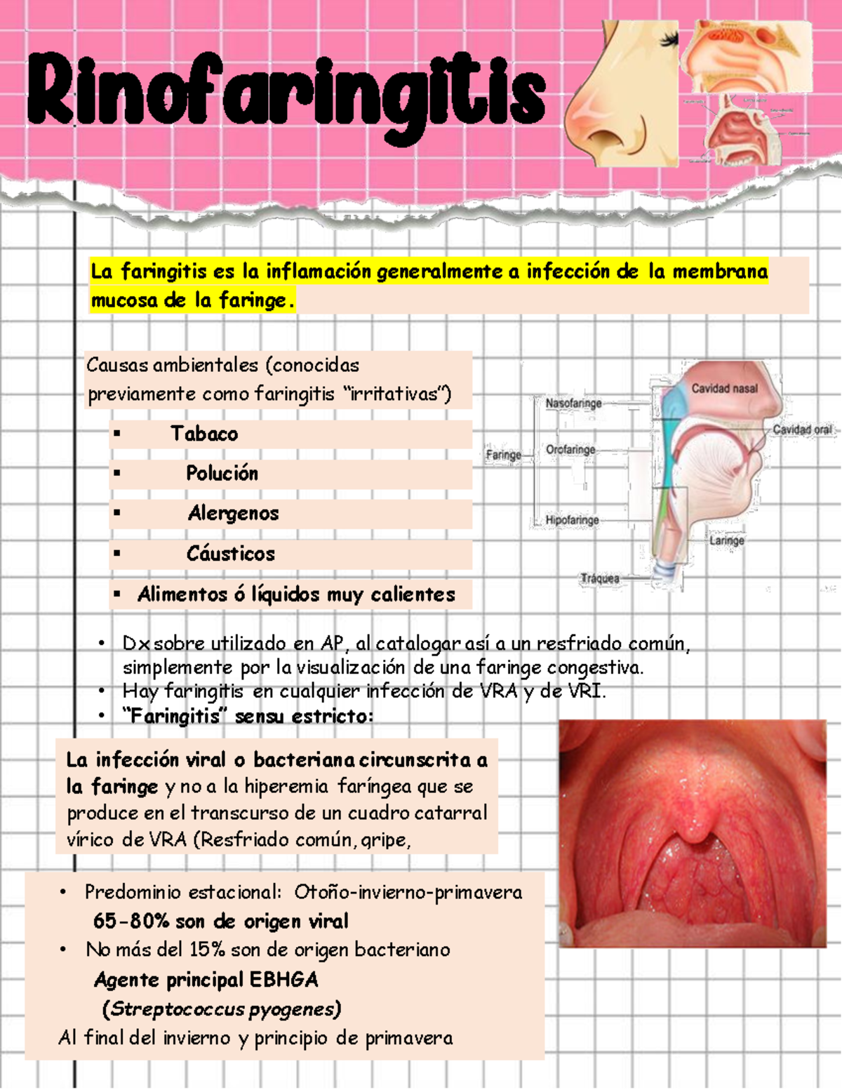 Rinofaringitis - Apunte de clase - Rinofaringitis La faringitis es la inflamación generalmente a ...