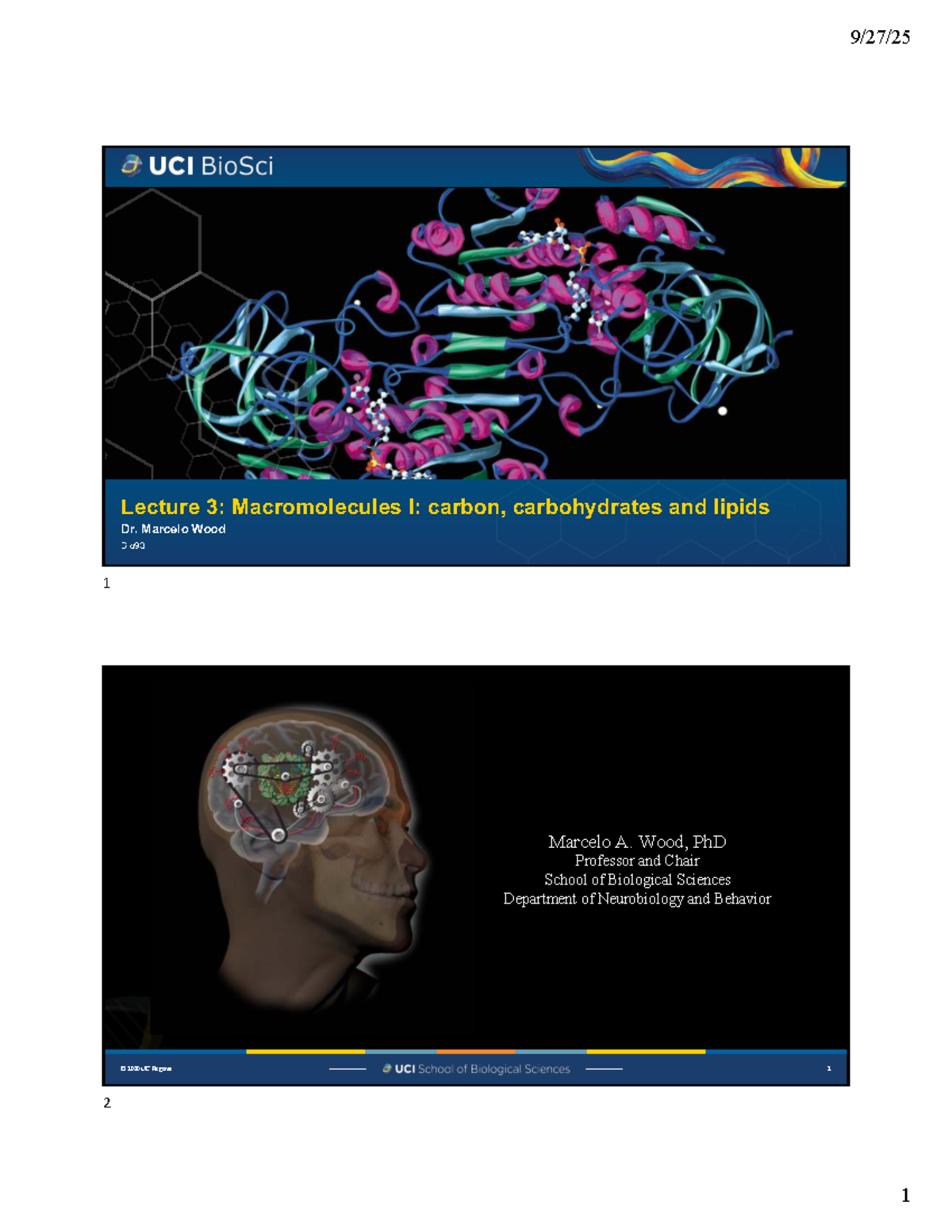 Bio93 Lecture 3: Macromolecules - Carbon, Carbs, and Lipids Notes - Studocu