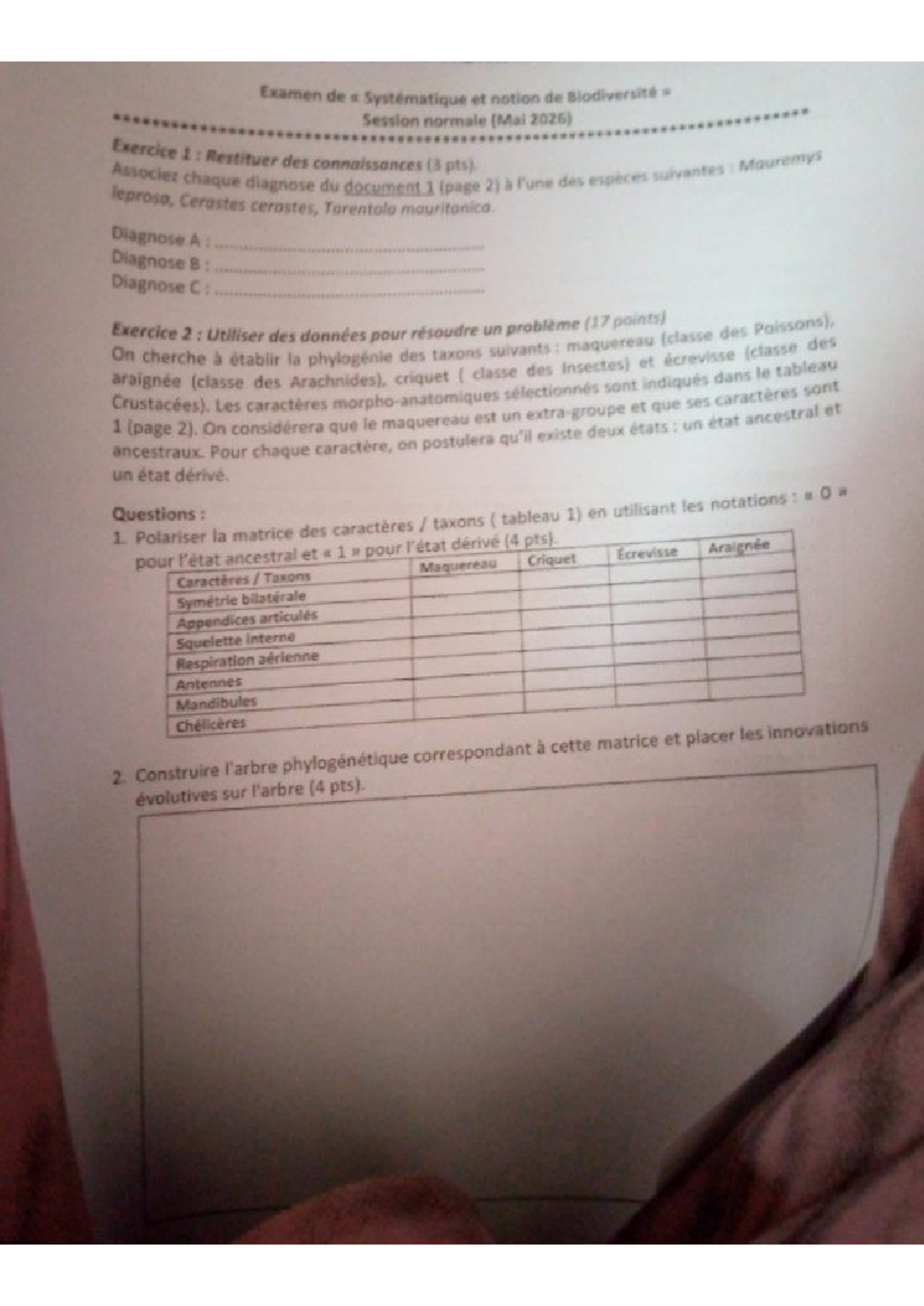 Examen de Systématique et Biodiversité SV4 - Session Normale Mai 2026 ...