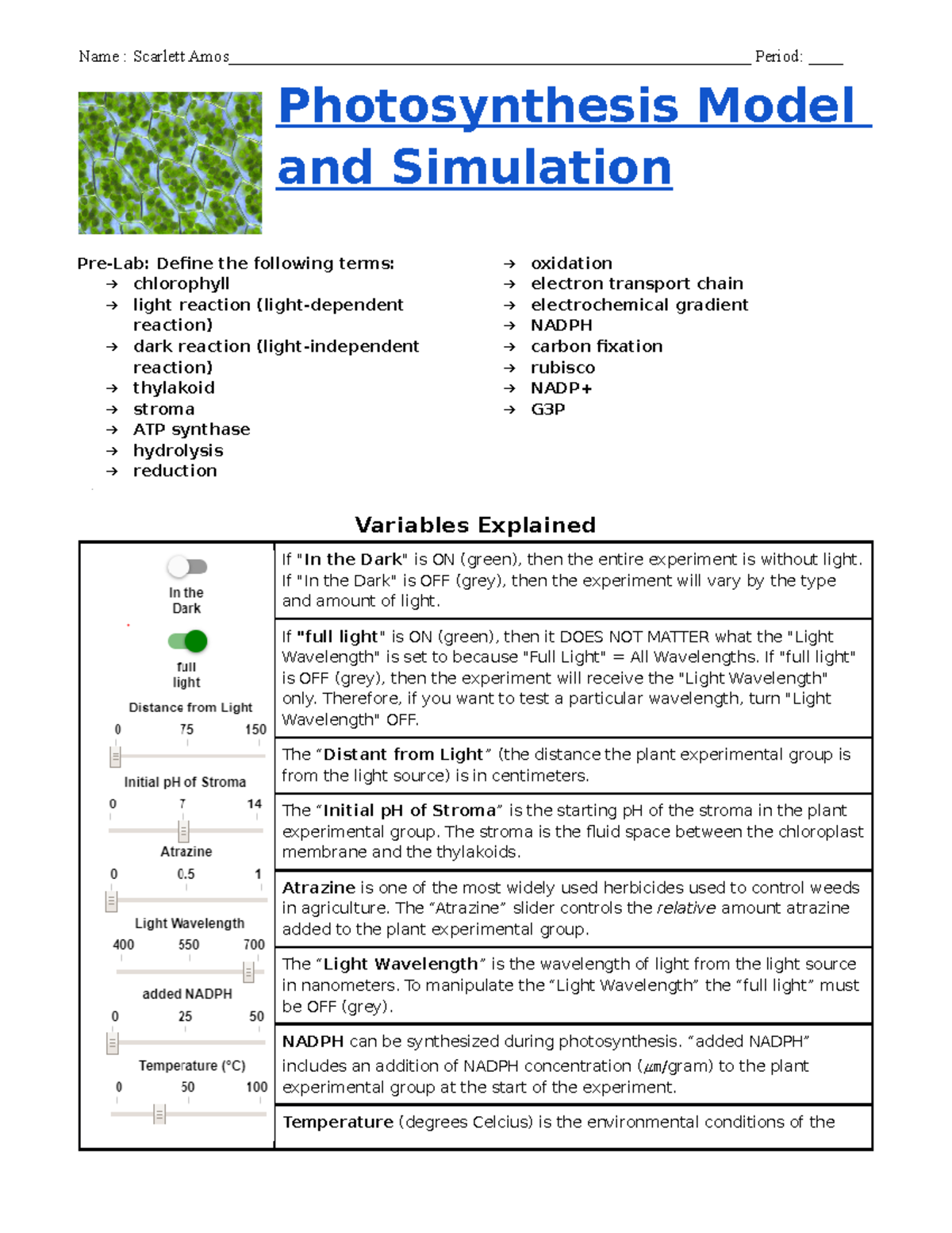 Photosynthesis Model & Simulation Study Guide - 2022 - Studocu
