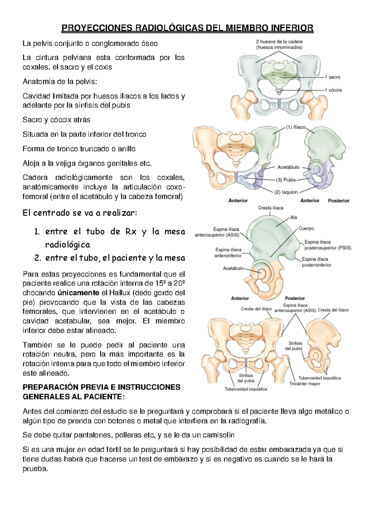 Proyecciones Radiológicas DEL Miembro Inferior (apunte) - PROYECCIONES ...
