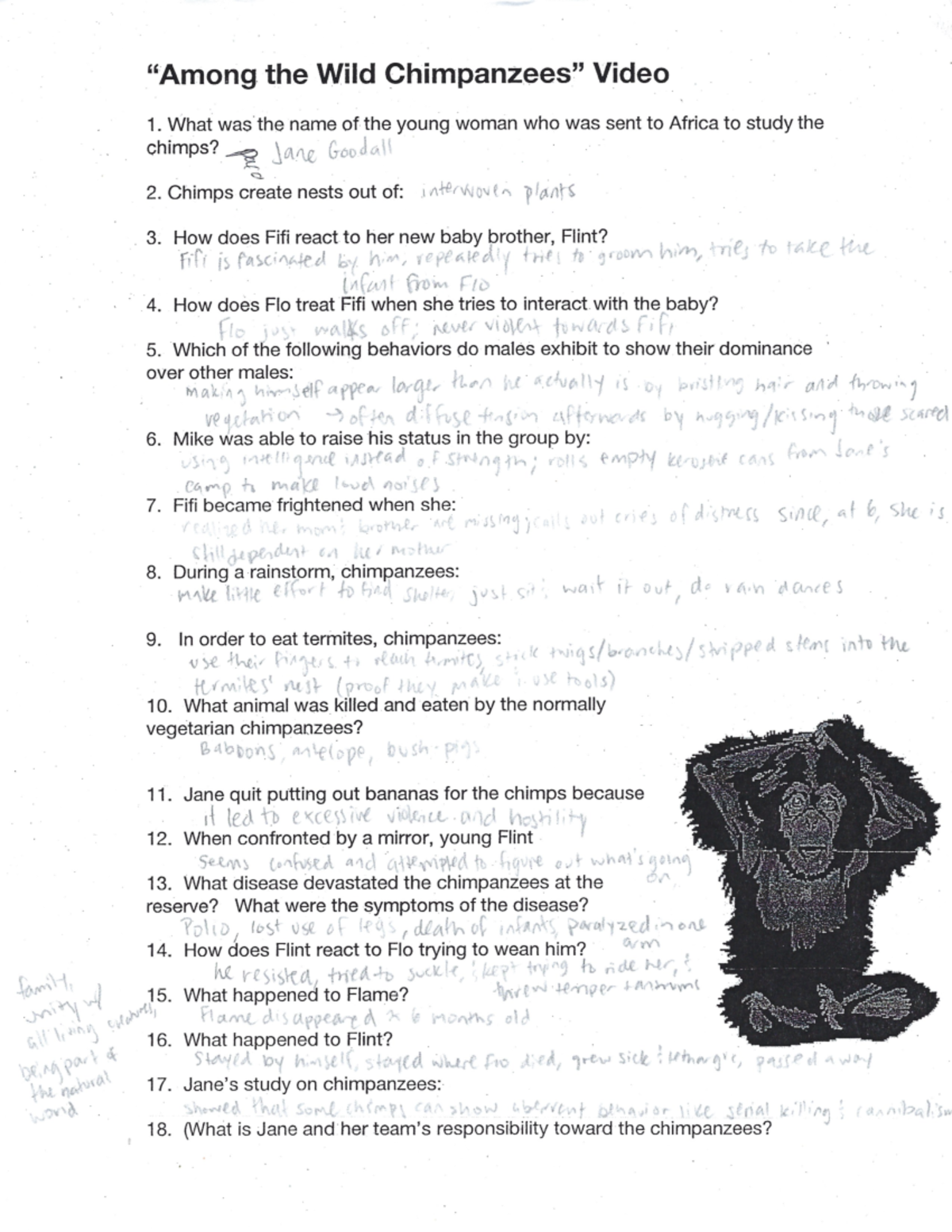 Understanding Chimpanzee Behavior: Insights from Jane Goodall's ...