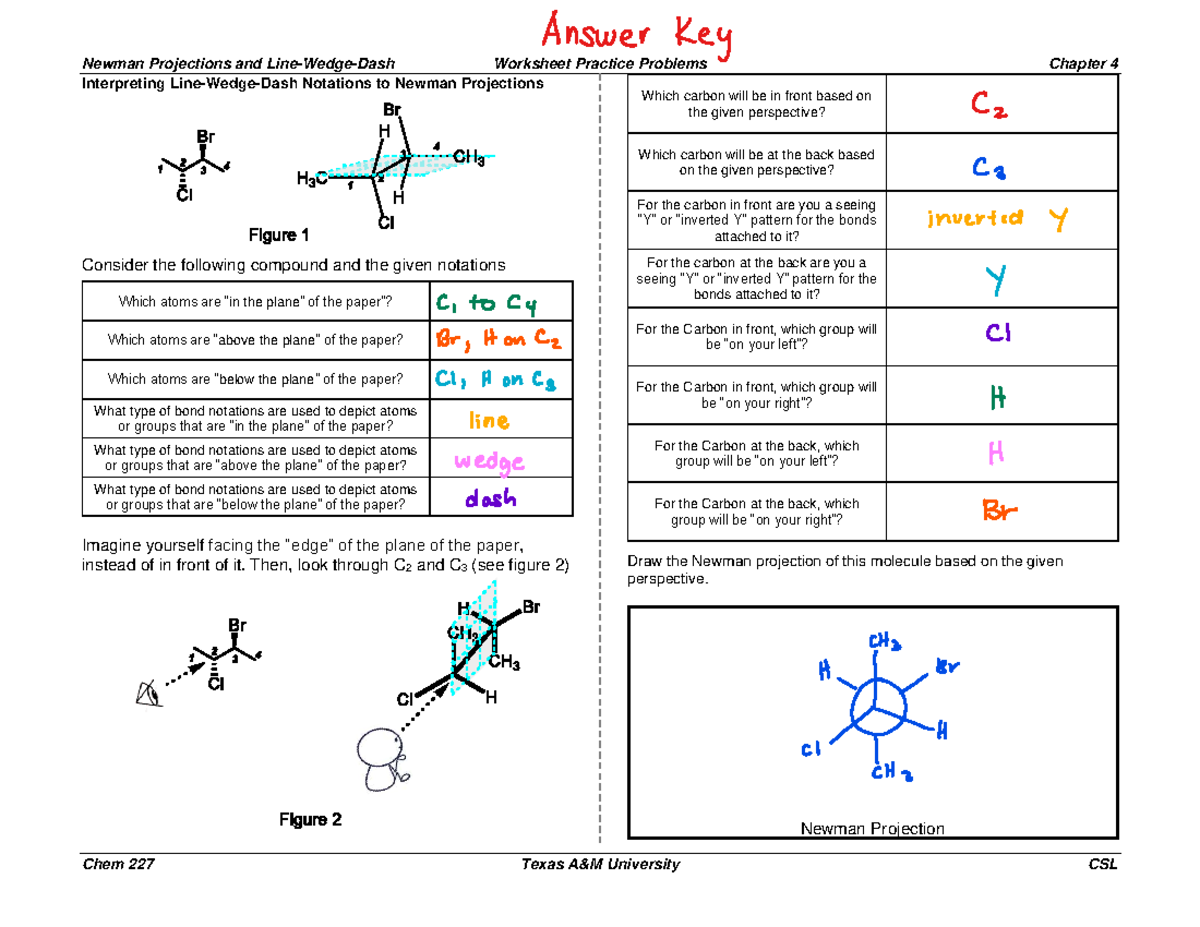 Chem 227: Newman Projections Practice Problems & Worksheet - Studocu