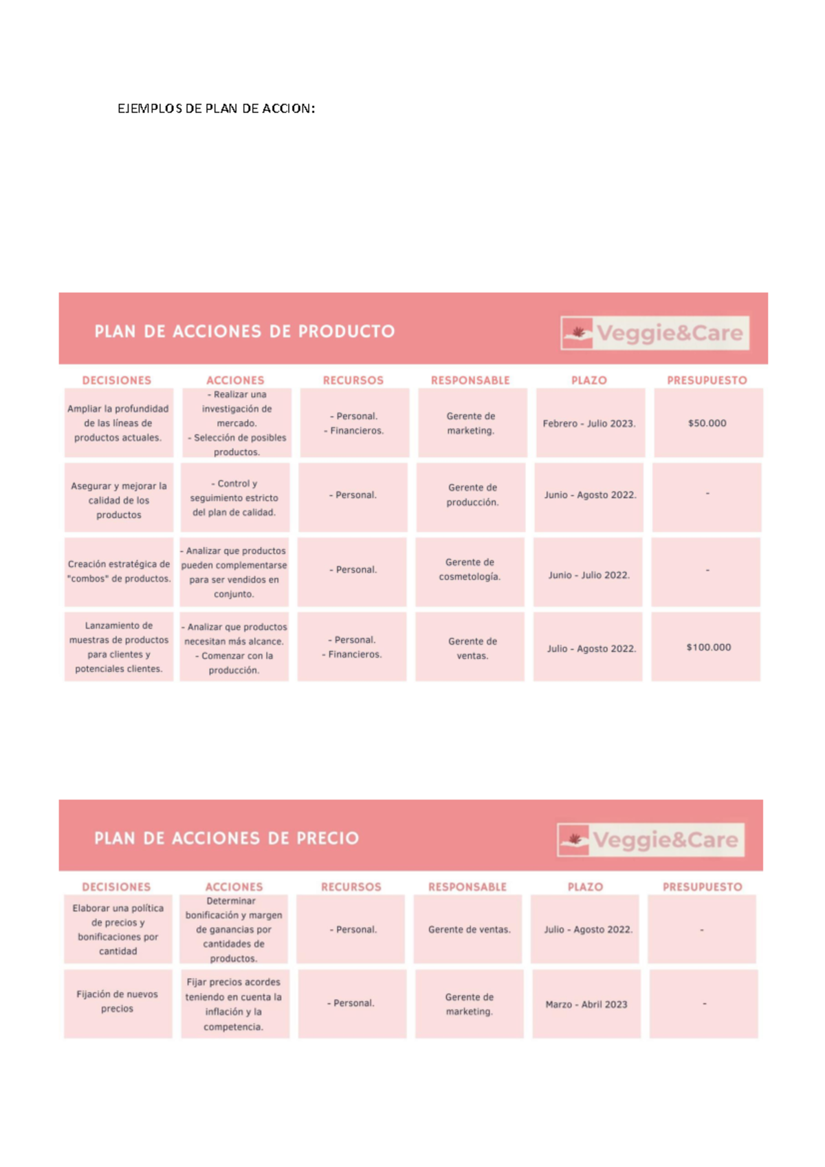 Ejemplos de Plan de Acción para Marketing y Ventas (2022-2024) - Studocu