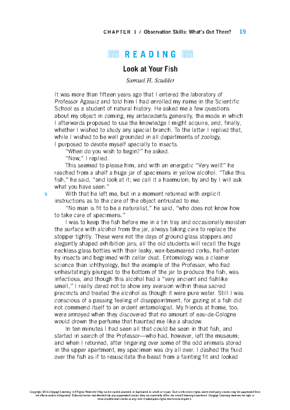 Observation Skills: Analyzing "Look at Your Fish" - Chapter 1 Insights ...