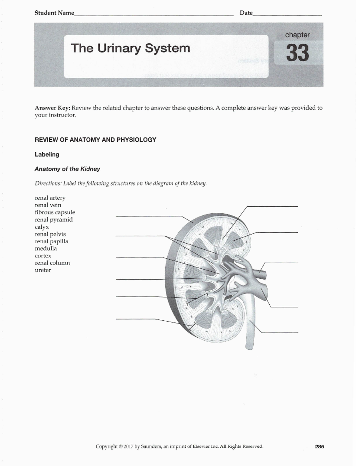 Chapter 33: Overview of the Urinary System (Part 2) - Studocu