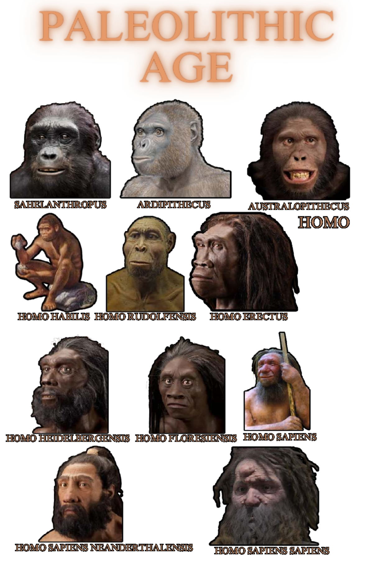 Paleolithic Era: Overview of Early Human Species and Evolution - Studocu