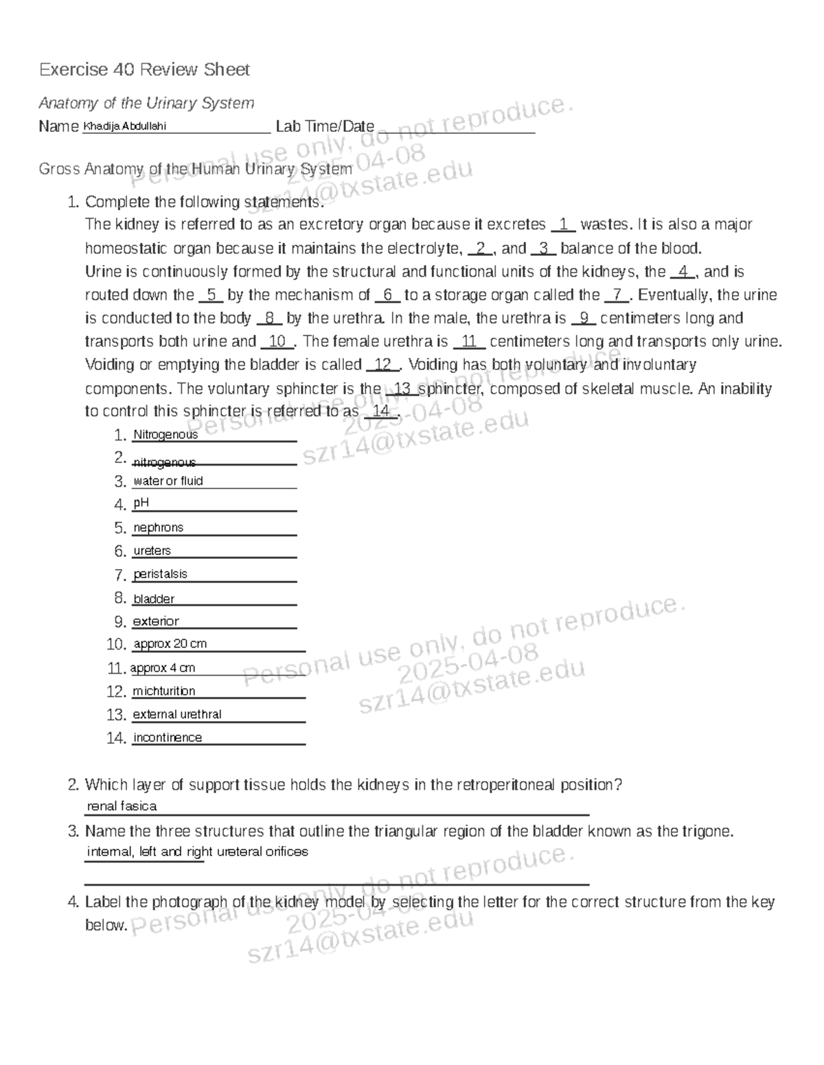 RS 40-41 + PL 42-43 - lab review sheets. - Exercise 40 Review Sheet ...