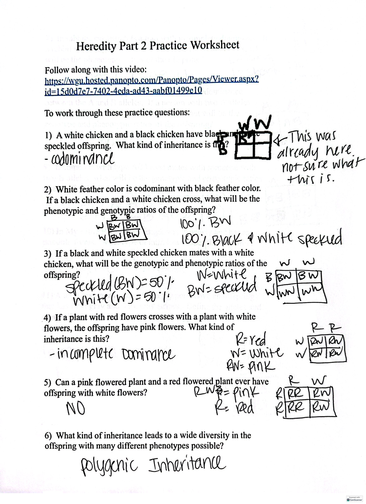 Hereditary Part 2 - Heredity Part 2 Practice Worksheet Follow along ...