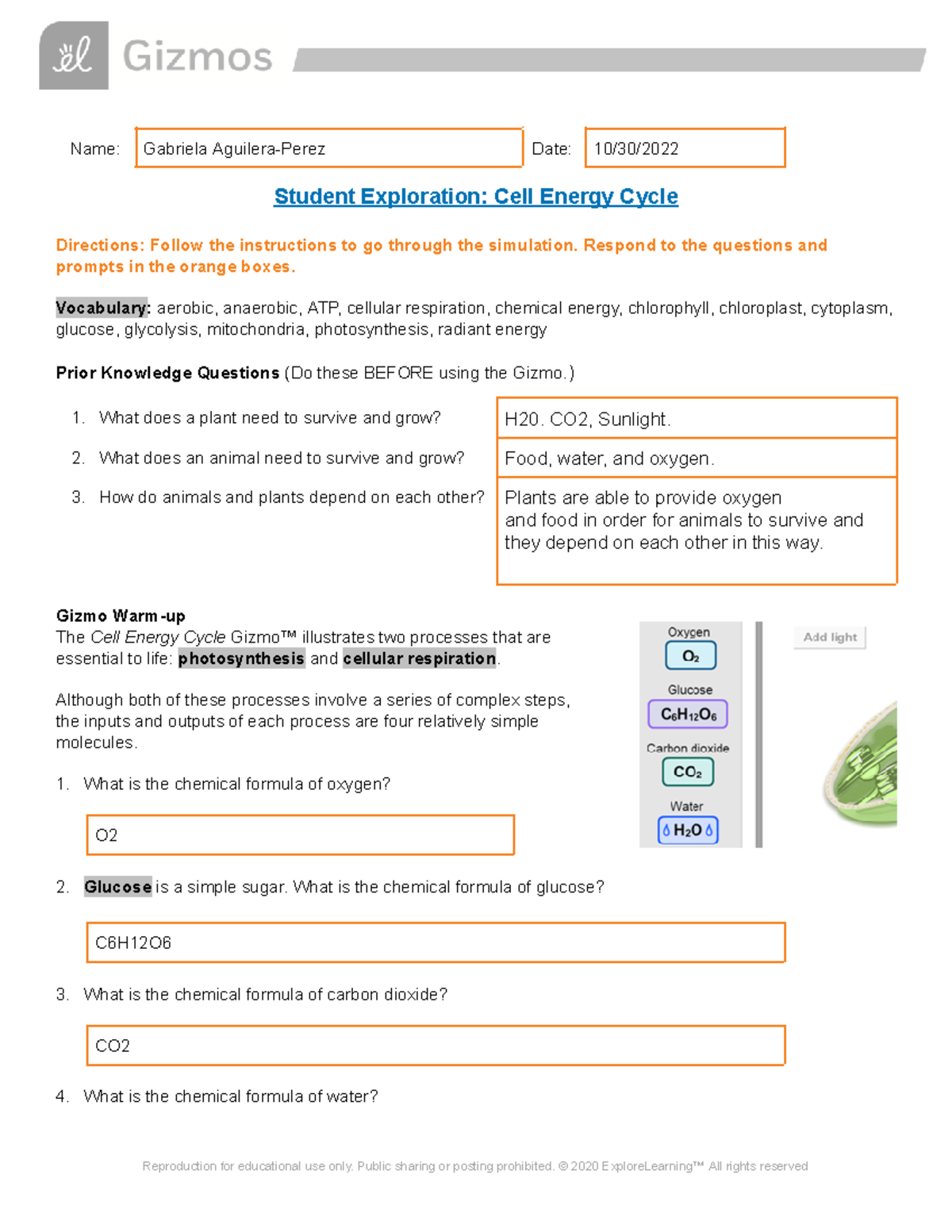 Cell Energy Cycle Exploration SE - Gizmo Activity Notes - Studocu