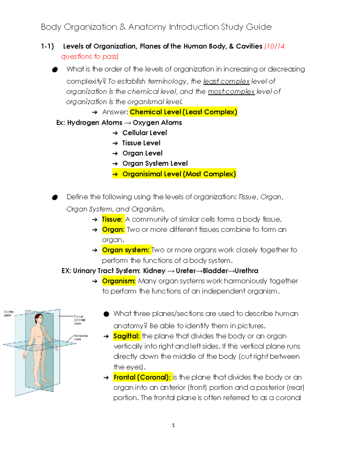 Body Organization & Anatomy Intro Study Guide (Levels, Planes, Cavities ...