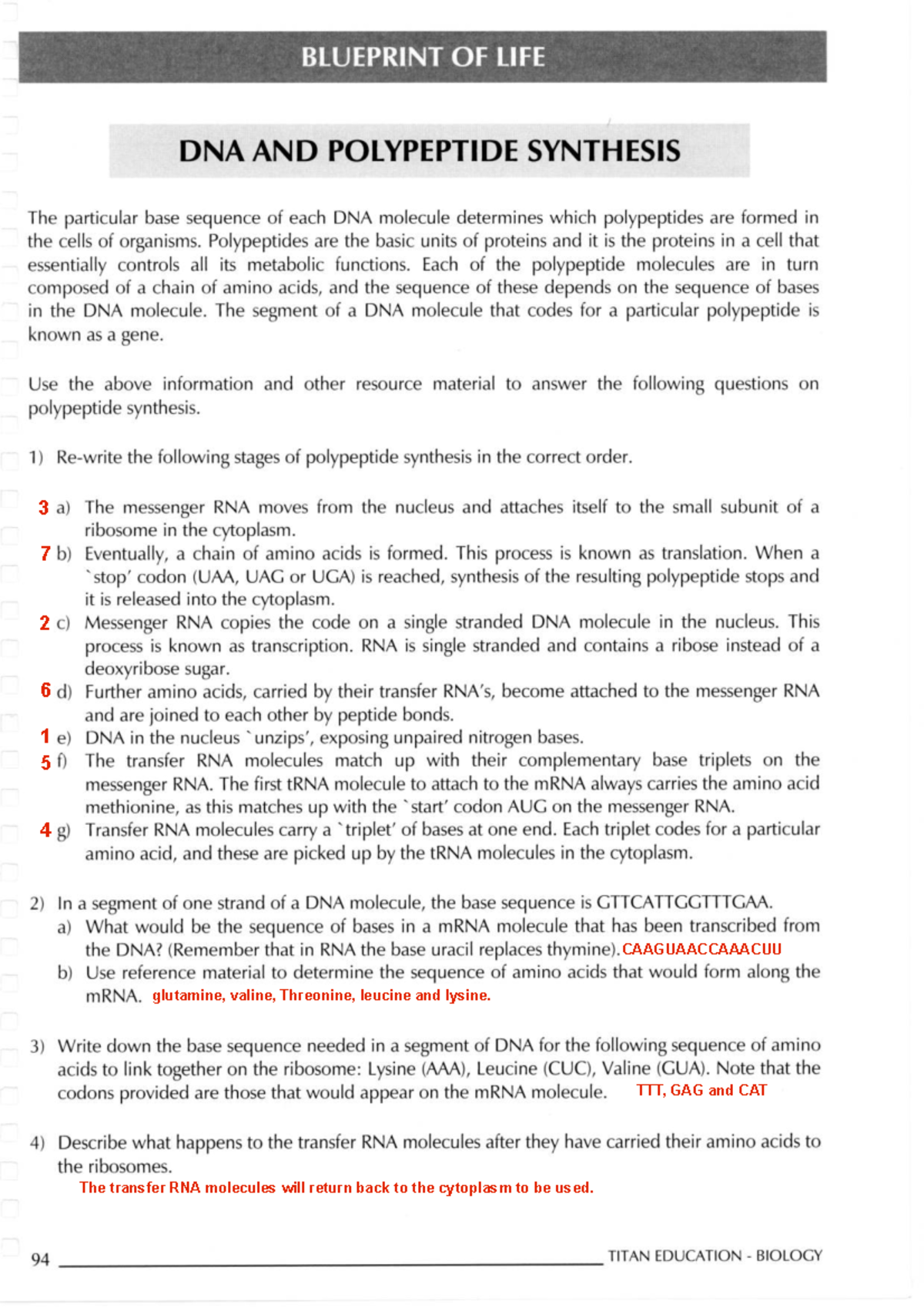 23.BIOLOGY DNA & Polypeptide Synthesis Worksheet - Studocu
