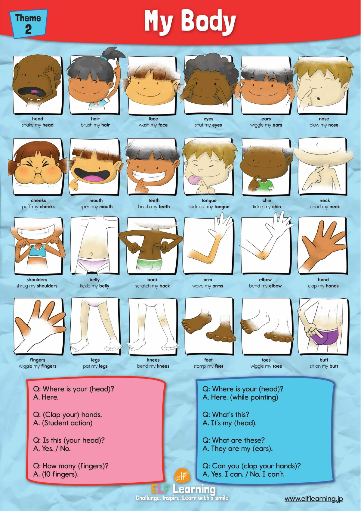 02 My Body: Interactive Learning Activities for Kids - Studocu