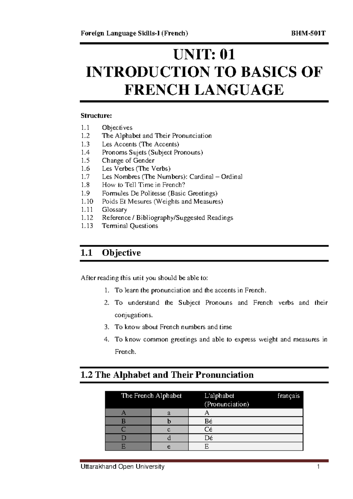 Introduction to French Basics - Language Fundamentals (FR101) - Studeersnel
