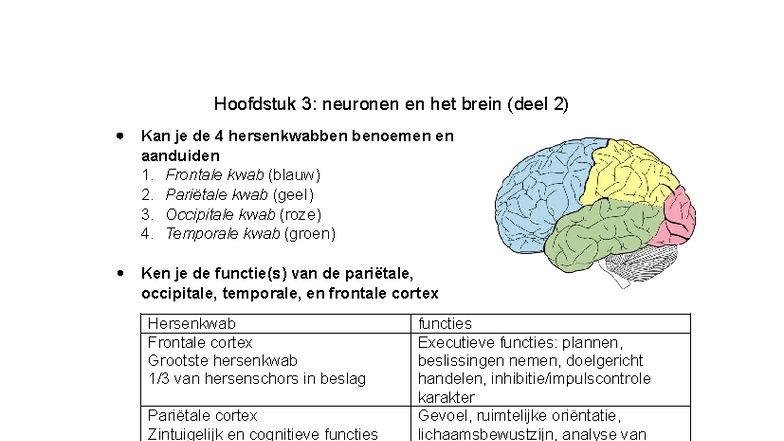 Hoofdstuk 3 (deel 2) Samenvatting: Neuronen en Hersenkwabben - Studocu