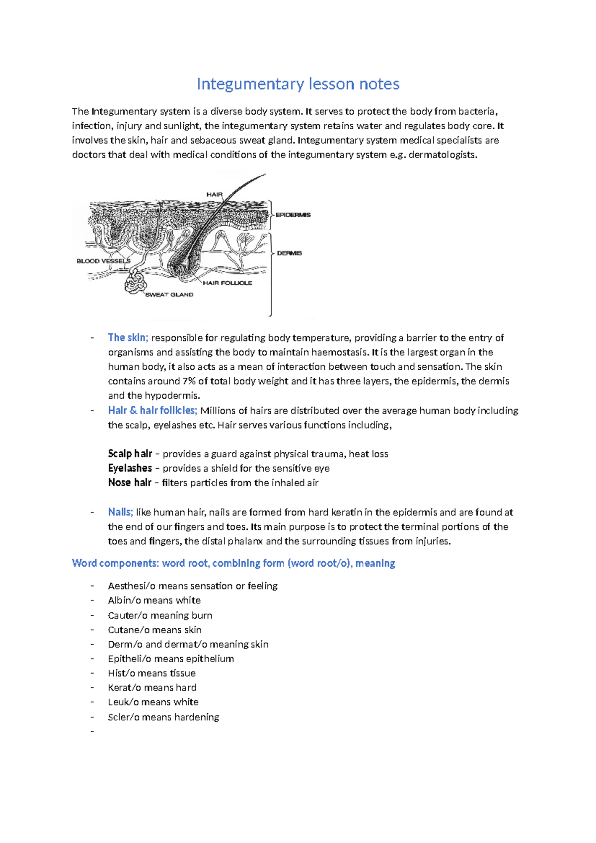 integumentary notes - Integumentary lesson notes The Integumentary ...