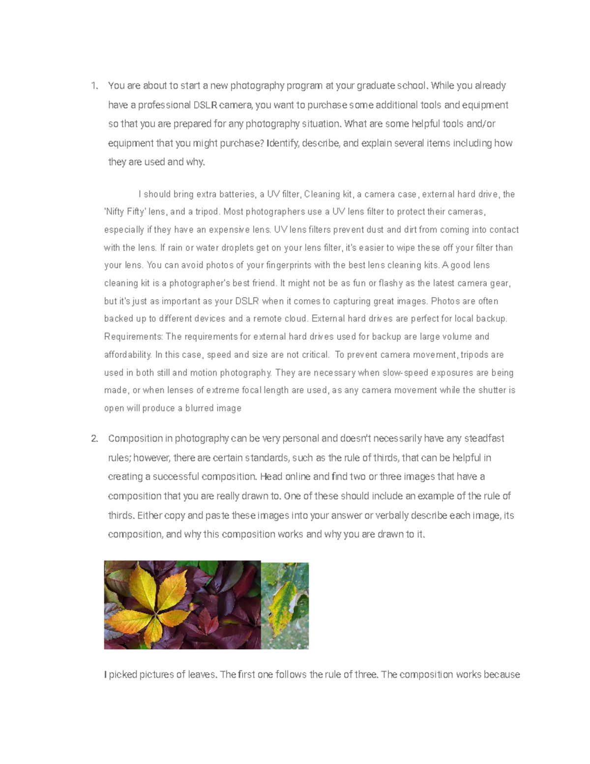 Photography Equipment & Composition: Rule of 3 Analysis Guide - Studocu