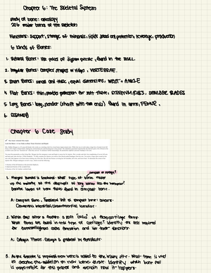 Classification of Bone Markings Diagram - PLN 103 - Classification ...