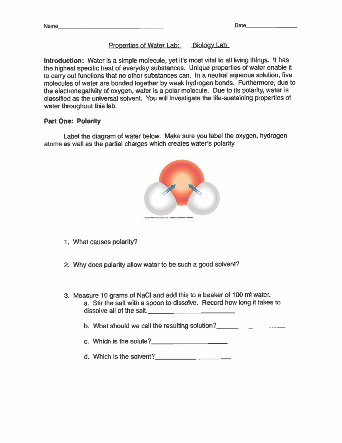 Biology Lab: Water Properties through Experiments (Waterlab) - Studocu