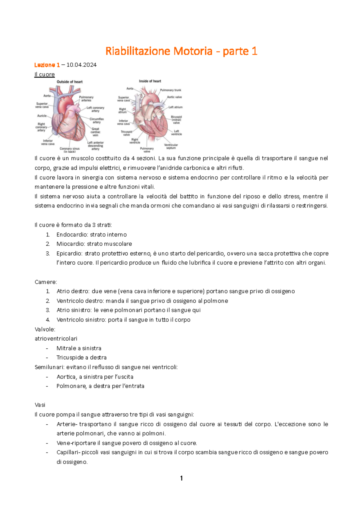 Riabilitazione motoria - parte 1 - Il cuore Il cuore è un muscolo ...
