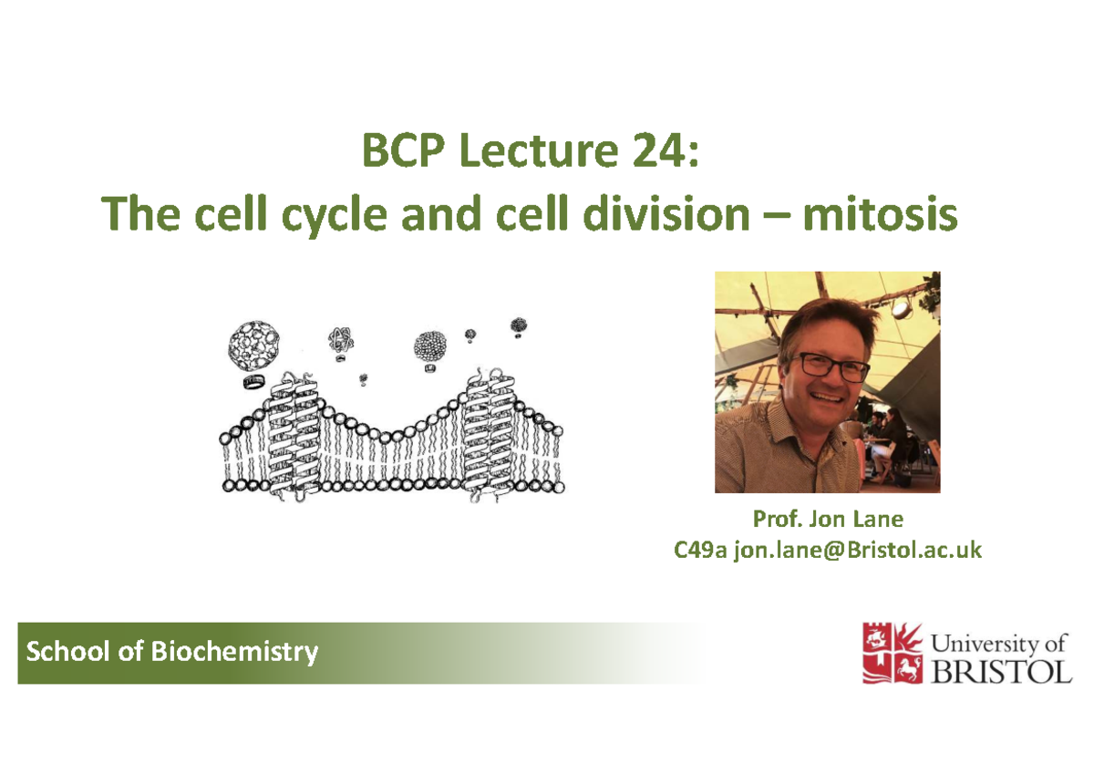 BCP Lecture 24: The Cell Cycle and Mitosis - Studocu