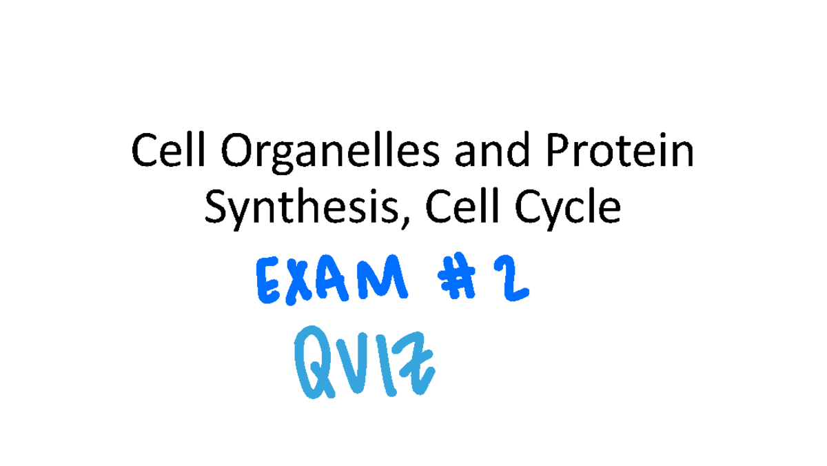 Cell Organelles & Protein Synthesis: Quiz 2 Review (Ch. 3.4-3.8) - Studocu
