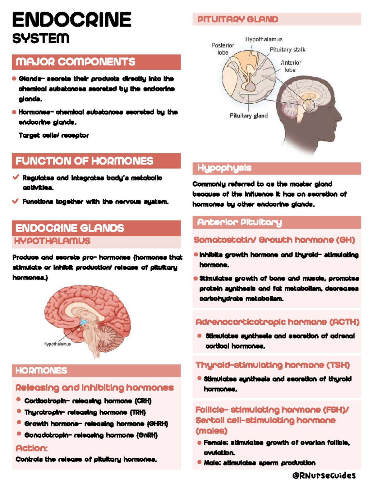 MS ENDO - Pituitary Gland & Hormonal Disorders Notes for Nursing ...