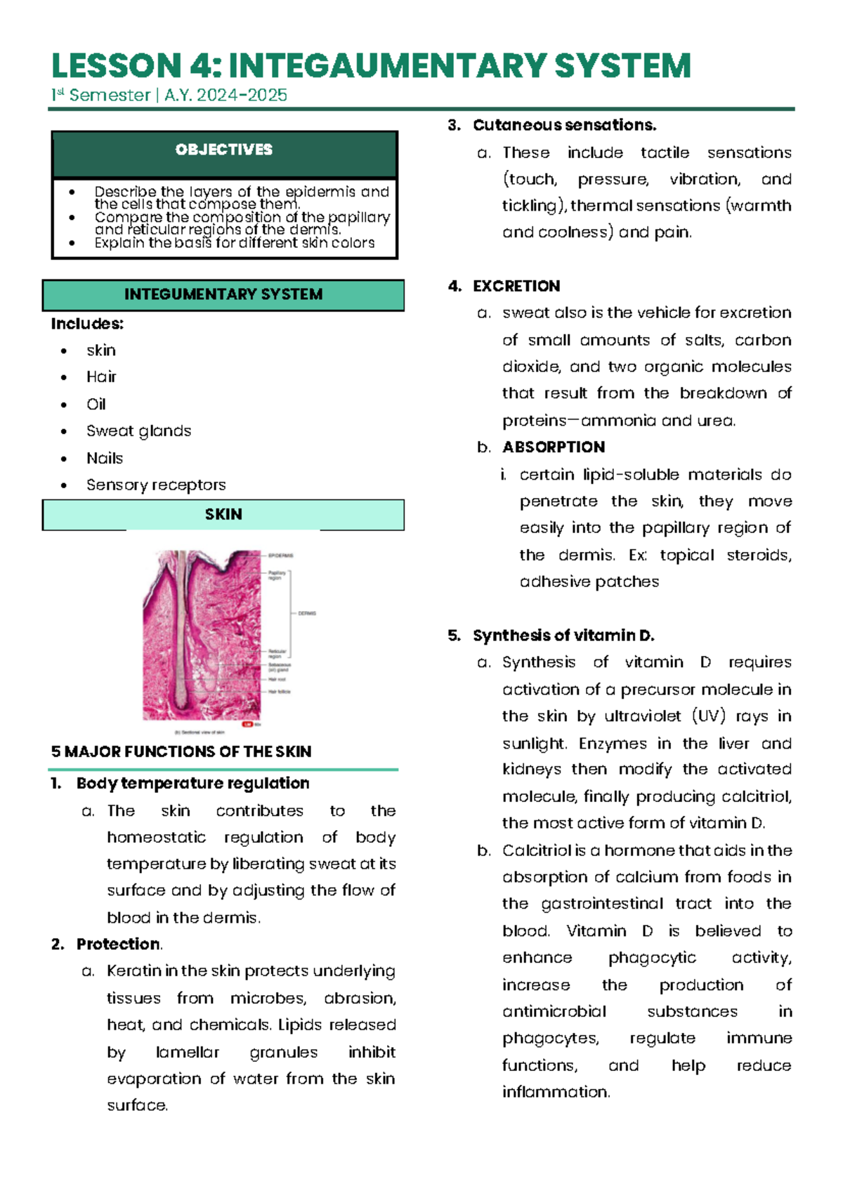MC-1-LEC Lesson 4: Integumentary System Overview and Functions - Studocu