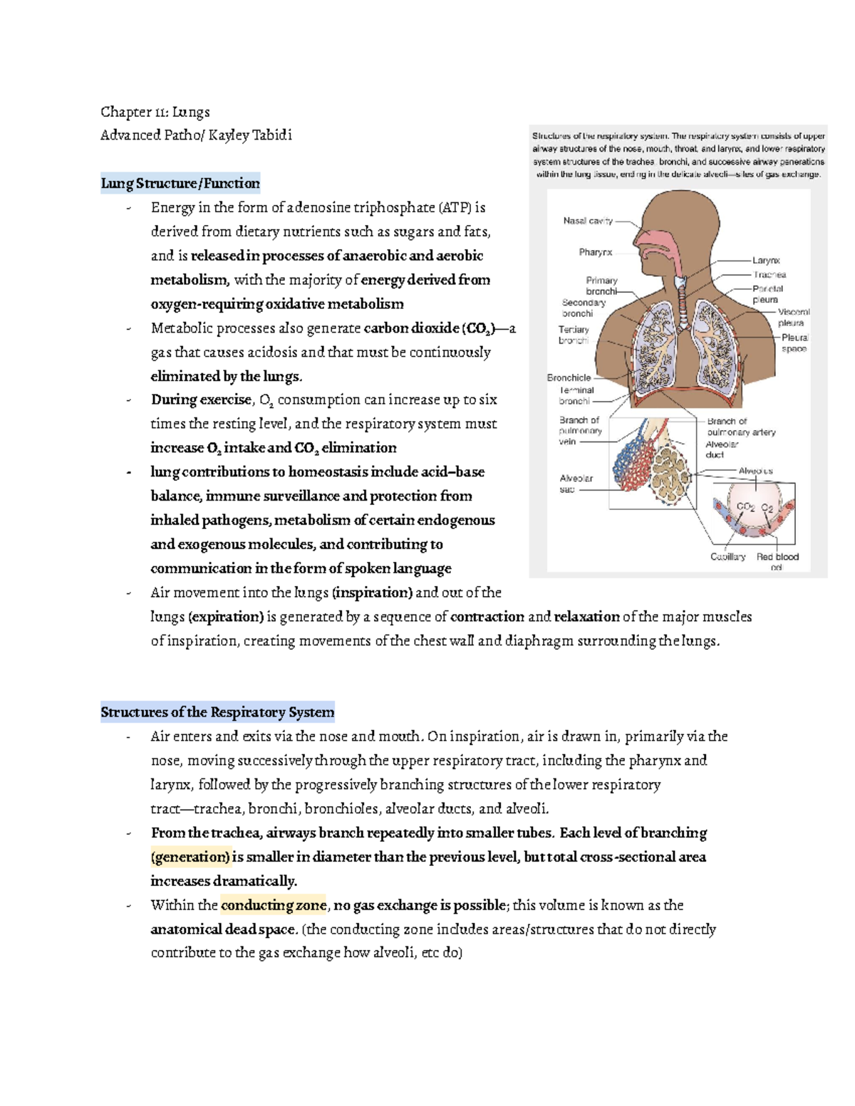 Chapter 11: Lungs - Advanced Pathophysiology Insights - Studocu